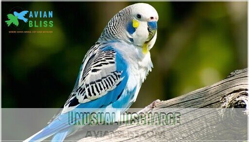 Causes of Bird Injuries: Essential Guide to Prevention & First Aid