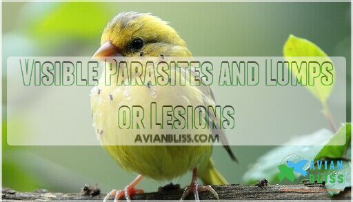 Safe Bird Parasite Treatment Options: Expert Guide to Meds & Control