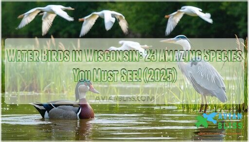 Water Birds in Wisconsin: 23 Amazing Species You Must See! (2025)