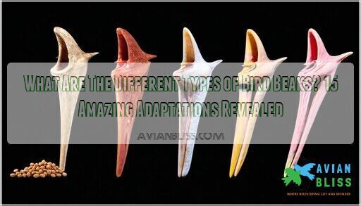 What Are The Different Types of Bird Beaks? 15 Amazing Adaptations Revealed