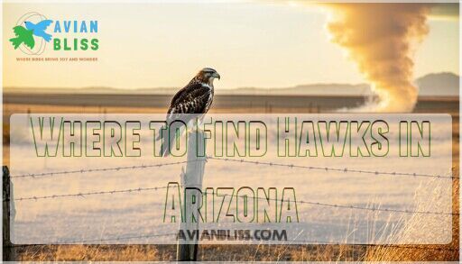 Arizona Birds of Prey: 23 Magnificent Raptors (With Pictures!)