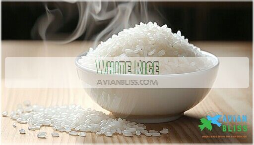 Can Birds Eat Rice? The Surprising Truth Every Bird Owner Needs!