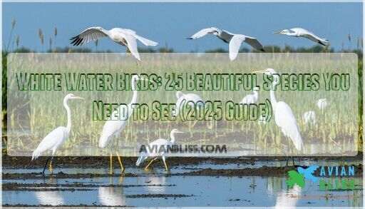 White Water Birds: 25 Beautiful Species You Need to See (2025 Guide)
