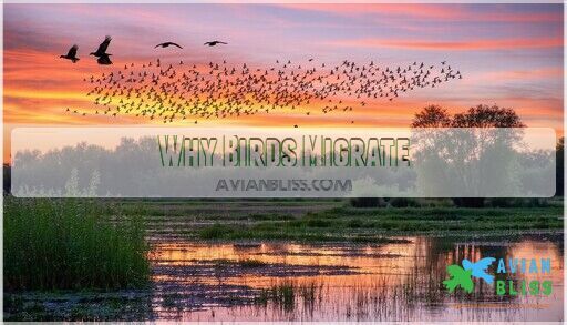 Bird Migration Facts Revealed: 25 Mind-Blowing Secrets You Never Knew