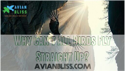 Can Birds Fly Straight Up From The Ground? The Surprising Truth!