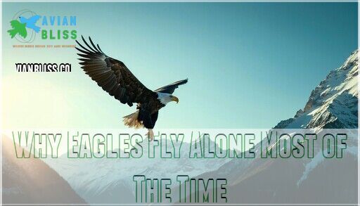 Why Do Eagles Fly Alone? Soaring Secrets Revealed!