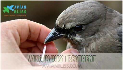 Bird Bleeding Wing Treatment: Emergency First Aid Steps That Save Lives