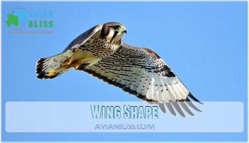 Can Birds Fly Straight Up From The Ground? The Surprising Truth!