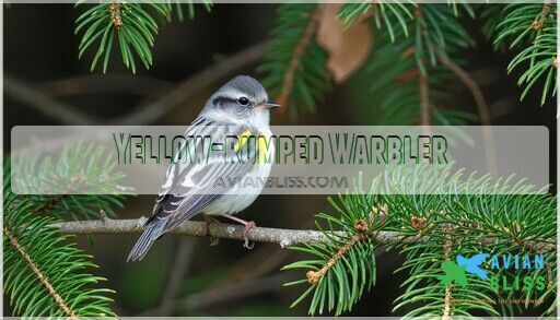 Small Birds in Florida: ID Guide with Photos