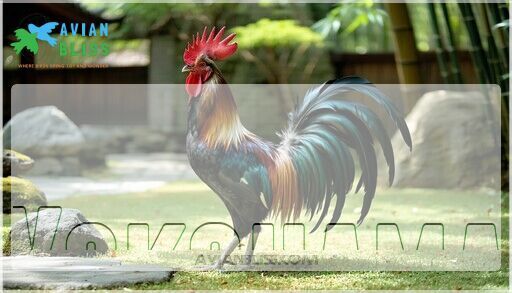 Rooster With Long Tail: 6 Stunning Breeds & Care Tips You Need