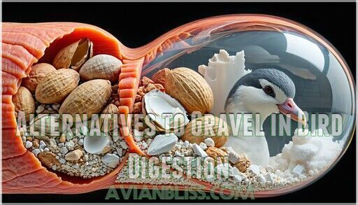 Why Do Birds Eat Gravel? The Surprising Digestive Secret Revealed