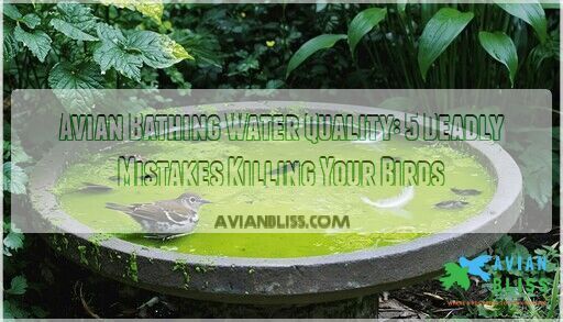 Avian Bathing Water Quality: 5 Deadly Mistakes Killing Your Birds