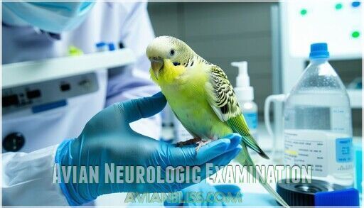 Bird Head Tilting Neurological Issue: Critical Warning Signs