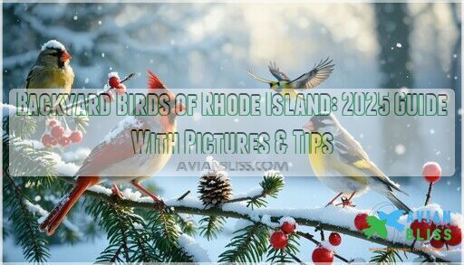 Backyard Birds of Rhode Island: 2025 Guide With Pictures & Tips