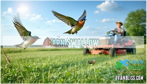 Exploring Ohio's Fascinating Swallow Species: A Photo Guide