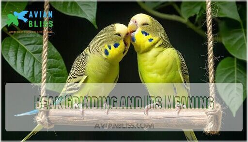 Are Parakeets Loud? 9 Noises Explained & What They Mean