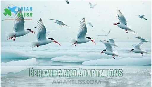 Arctic Tern: Epic 44,000-Mile Migration & Fascinating Life Facts