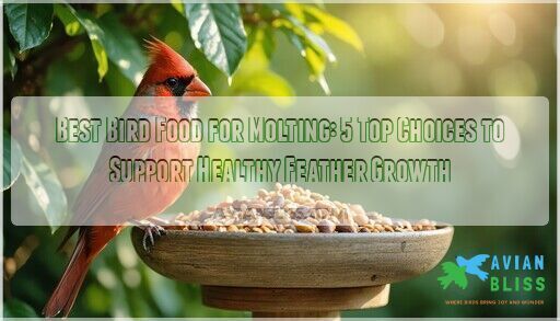 Best Bird Food for Molting: 5 Top Choices to Support Healthy Feather Growth