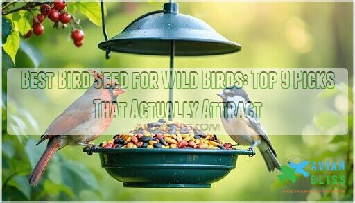 Best Bird Seed for Wild Birds: Top 9 Picks That Actually Attract
