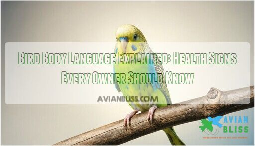 Bird Body Language Explained: Health Signs Every Owner Should Know