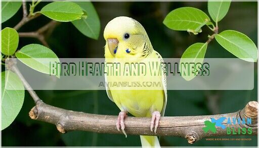 Bird Body Language Explained: Health Signs Every Owner Should Know