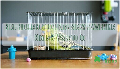 Bird Hiding Bottom Cage Sick? 7 Warning Signs & What to Do