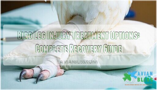 Bird Leg Injury Treatment Options: Complete Recovery Guide