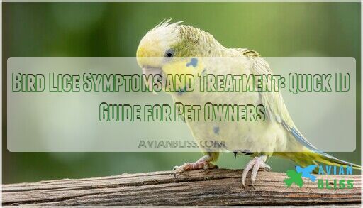 Bird Lice Symptoms and Treatment: Quick ID Guide for Pet Owners