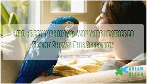Bird Preening Human: Why Your Feathered Friend Shows This Affection