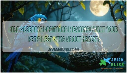 Bird Sleeping Positions Meaning: What Your Pet's Rest Says About Health