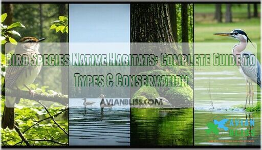 Bird Species Native Habitats: Complete Guide to Types & Conservation
