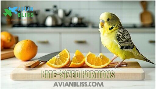 Can Parakeets Eat Oranges? Safe Feeding Guide + Expert Tips