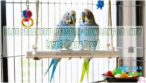 Blue Parakeet Lifespan: How Long Do They Live? (Care Tips)