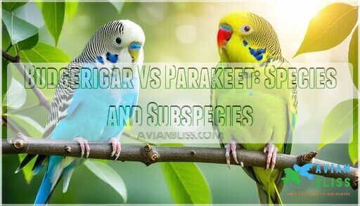 Difference Between Budgie and Parakeet: Key Facts Explained