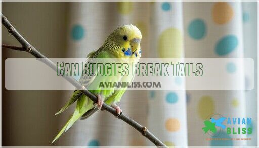 Can a Budgie Break Its Tail? Signs, Care Tips & Feather Regrowth Guide