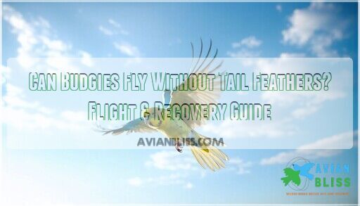 Can Budgies Fly Without Tail Feathers? Flight & Recovery Guide