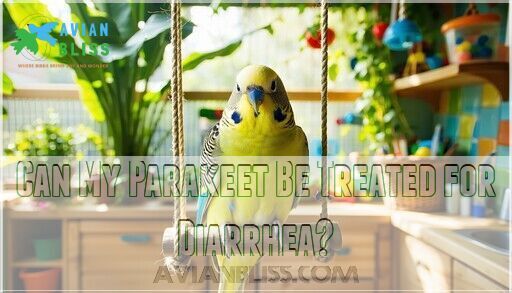 Why Does My Parakeet Have Diarrhea? Causes