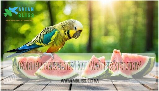 Can Parakeets Eat Watermelon Answered: Safety, Benefits & Serving Tips