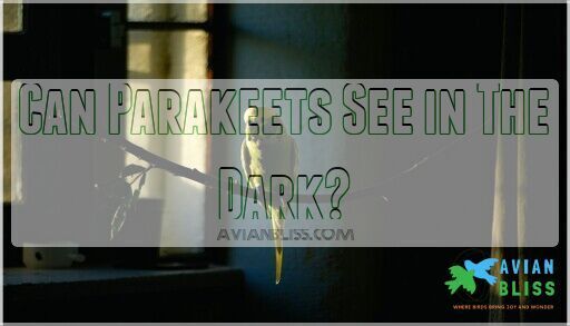 Can Parakeets See in The Dark? What Every Budgie Owner Should Know!