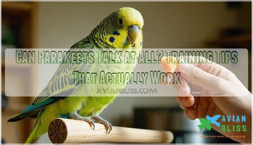 Can Parakeets Talk at All? Training Tips That Actually Work