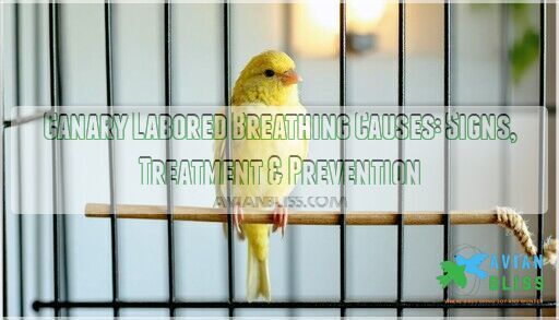 Canary Labored Breathing Causes: Signs, Treatment & Prevention