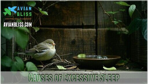 Bird Sleeping Excessively? 7 Illness Signs You Can't Ignore