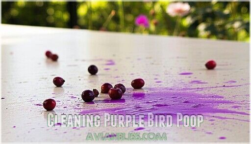 Why is Bird Poop Purple? Diet Secrets & Health Clues Revealed