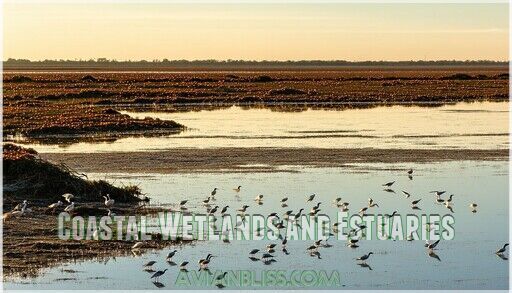 Birds in Coastal Regions: Expert Guide to 50+ Species & Habitats