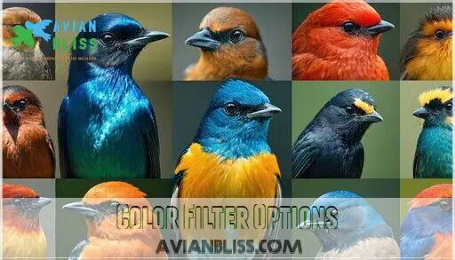 Bird Identification Guide United Kingdom | Interactive Species Tool