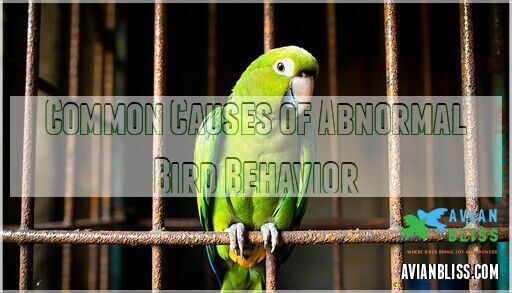 Abnormal Bird Behavior Checklist: 5 Warning Signs Every Owner Needs