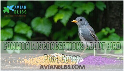 Why is Bird Poop Purple? Diet Secrets & Health Clues Revealed