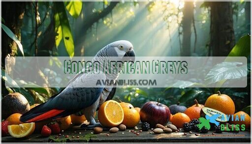 African Grey Parrot: Smart, Caring Guide & Health Facts (2025)