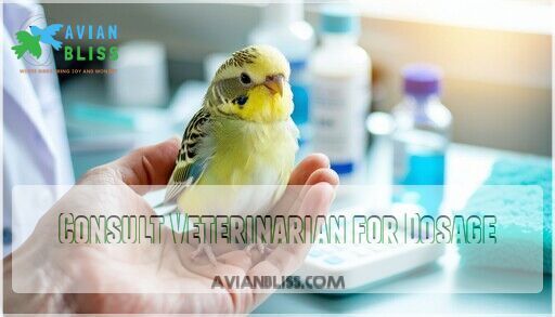 How to Give Bird Medicine: Safe Steps for Pet Bird Owners