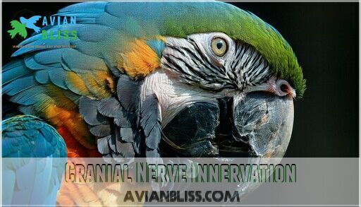 Bird Head Tilting Neurological Issue: Critical Warning Signs